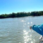Best of Marco Island Dolphin Tour - Who Should Consider This Tour?