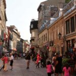Best of Montréal: Private Walking Tour with a Local - Old Montreal and the Notre-Dame Basilica