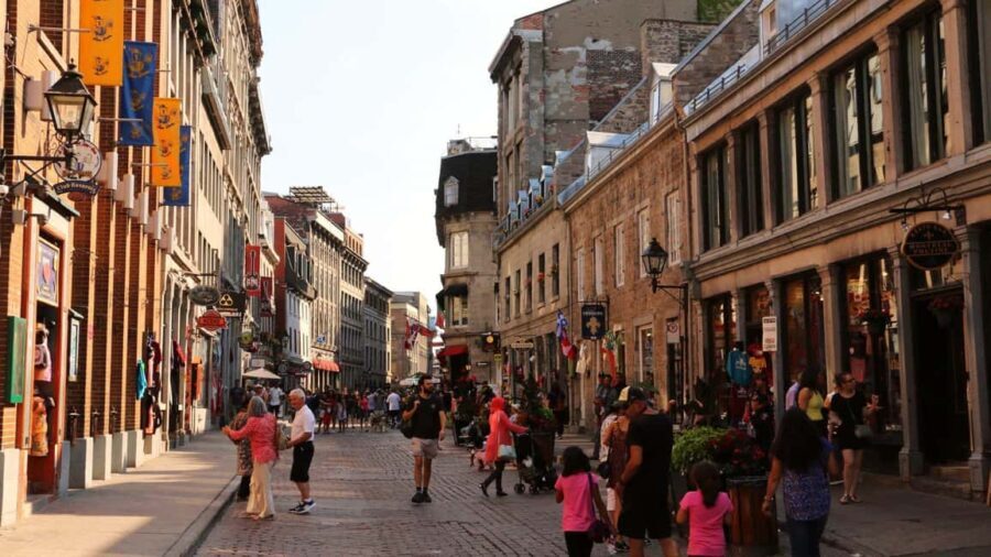 Best of Montréal: Private Walking Tour with a Local - Old Montreal and the Notre-Dame Basilica