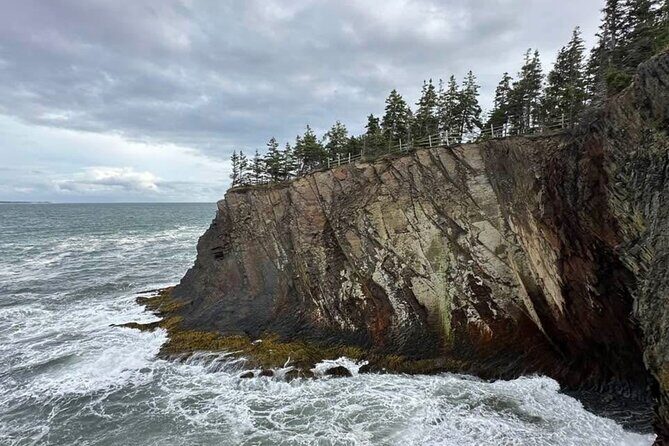 Best of Nova Scotia: Full-Day Private Luxury Tour - What’s the Real Value for Travelers?