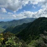 Best of the Smokies Custom Private Tour - What Past Travelers Say