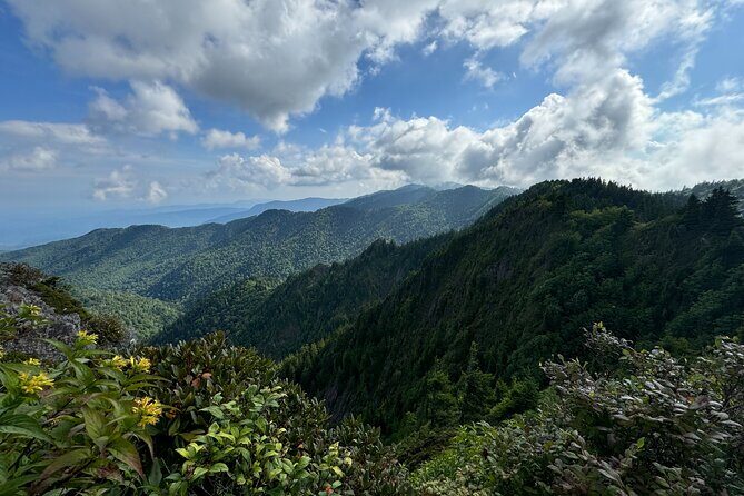 Best of the Smokies Custom Private Tour - What Past Travelers Say