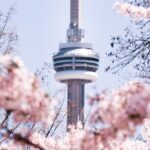 Best of Toronto City Tour with Boat Cruise & CN Tower - St. Lawrence Market & Downtown Landmarks