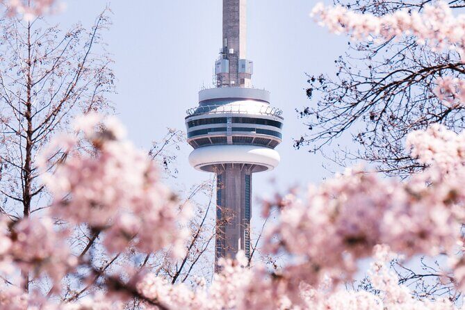 Best of Toronto City Tour with Boat Cruise & CN Tower - St. Lawrence Market & Downtown Landmarks
