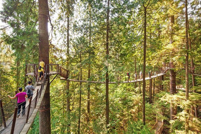 Best of Vancouver Highlights /Suspension Bridge/ Free Pizza Party Tour Private - Transportation and Logistical Details