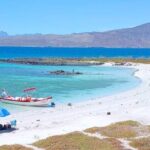 Best Tour to Coronados Island - Key Points
