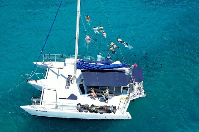 Best Waikiki Snorkel Tour: Guaranteed Turtles at Turtle Canyon - Authentic Encounters and Real Reviews
