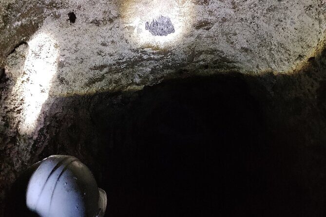 Between Tunnels and Bats - Practical Aspects: Booking, Timing, and Overall Value