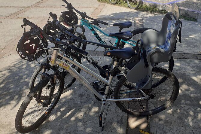Bicycle Tour in Ixtapa - Final Thoughts: Is This the Right Tour for You?