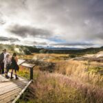 Big Hawaii: Private Guided Van Tour - The Experience of the Guide