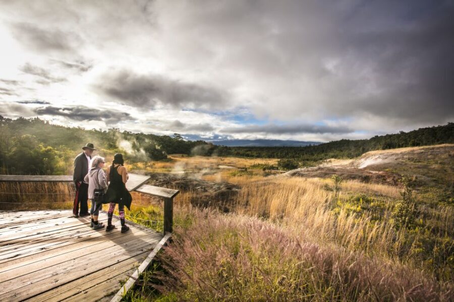 Big Hawaii: Private Guided Van Tour - The Experience of the Guide
