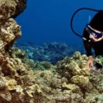 Big Island: 3 Hour Waikoloa Snorkeling & Sailing Adventure - Key Points