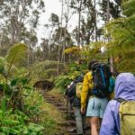 Big Island: Hawai'i Volcanoes National Park Guided Hike - The Experience: What Makes It Worthwhile