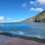 Big Island: Hilo to Kona Day Tour with Tastings - A Closer Look at the Tour Experience