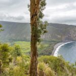 Big Island: Private Island Circle Tour with Lunch and Dinner - Discovering the Big Island: What to Expect