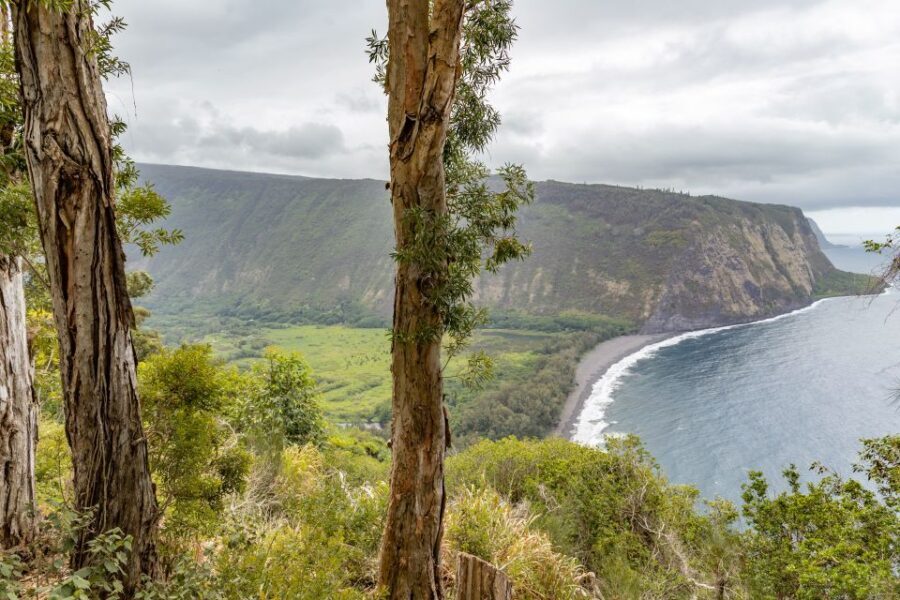 Big Island: Private Island Circle Tour with Lunch and Dinner - Discovering the Big Island: What to Expect
