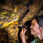 Big Island: Volcano, Chocolate & Waterfall Adventure - An In-Depth Look at the Tour Experience