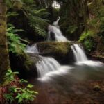 Big Island: Waterfall Tour with Swimming & Botanical Garden - What The Tour Offers in Terms of Value