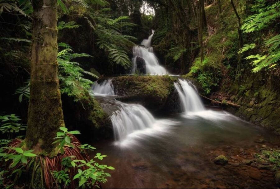 Big Island: Waterfall Tour with Swimming & Botanical Garden - What The Tour Offers in Terms of Value