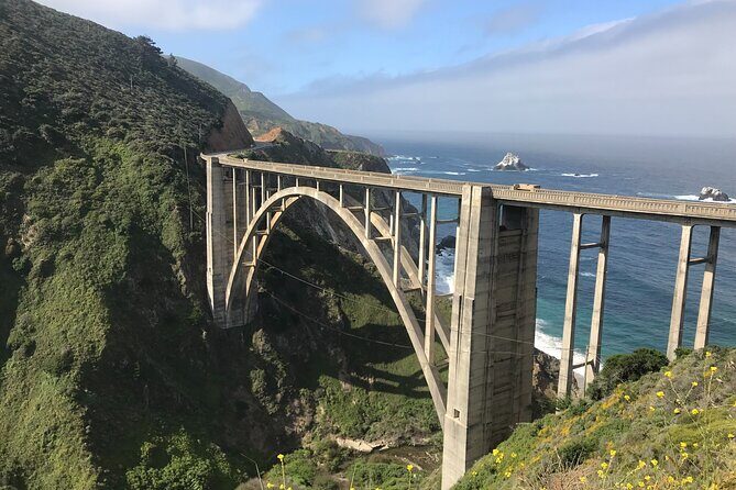 Big Sur Sightseeing Tour - What Makes This Tour Special?