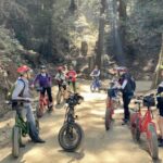 Big Sur's Old Coast Road E-Bike Tour - Who Should Consider This Tour?