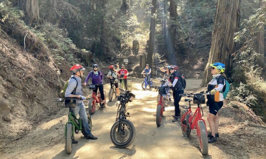 Big Sur's Old Coast Road E-Bike Tour - Who Should Consider This Tour?