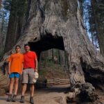 Big Trees Hike & Riverside Cookout Adventure - Final Thoughts: Is It Worth It?