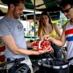 Bike/E-bike tour Plateau,MileEnd, Jean-Talon Market by Fitz - An In-Depth Look at the Montreal Bike/E-bike Tour