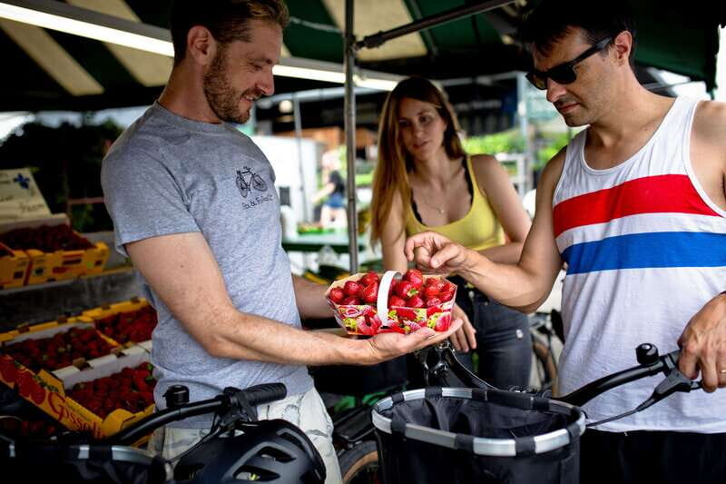 Bike/E-bike tour Plateau,MileEnd, Jean-Talon Market by Fitz - An In-Depth Look at the Montreal Bike/E-bike Tour