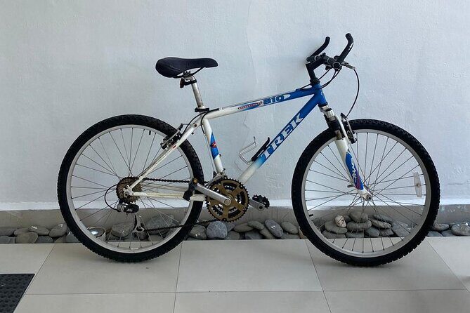 Bike Rental in Isla Mujeres - In-Depth Look at the Experience
