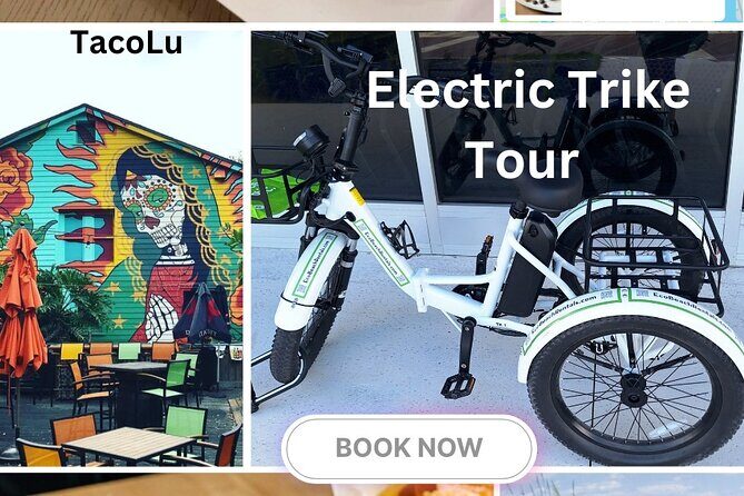 Bike Ride Through Ponte Vedra Beach Private Tour Florida - What Past Reviewers Say and Their Insights