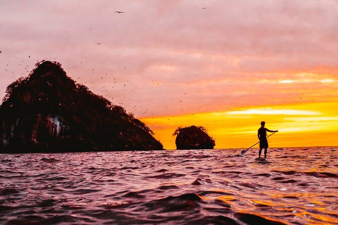 Bioluminescence by kayak or SUP to Los Arcos Puerto Vallarta - The Experience for Different Travelers