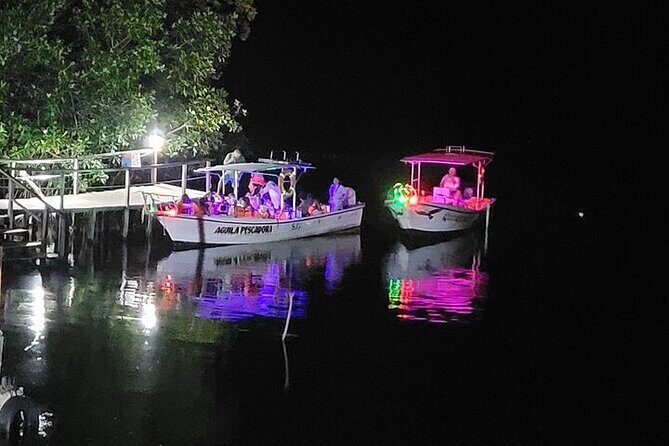 Bioluminescence in Manialtepec Night Tour from Huatulco - What Travelers Say