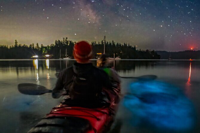 Bioluminescence Kayak Tour at Fort Flagler State Park - The Itinerary in Detail