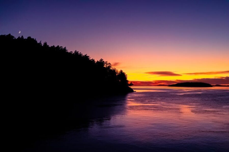 Bioluminescence Night Paddle - An Evening in the Salish Sea: What to Expect