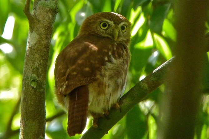 Bird Watching in Sian Ka´an Muyil - Sian Ka´an Biosphere Reserve: The Natural Heart