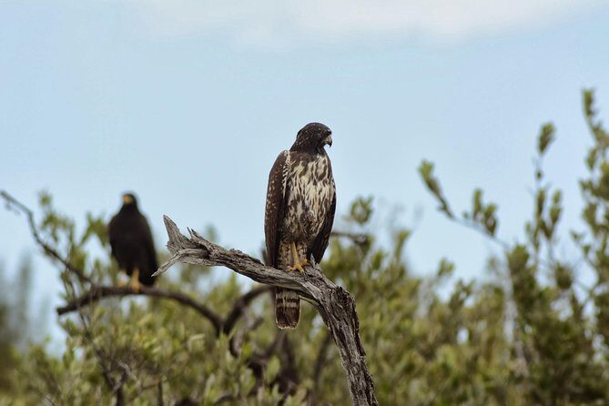 Birdwatching Sian Ka'an Biosphere Reserve - Final Thoughts: Is It Worth It?