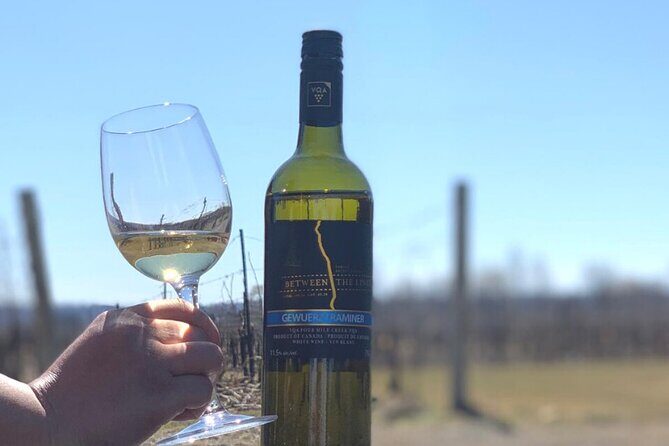 Black Glass Wine Tasting - The Environment & Atmosphere