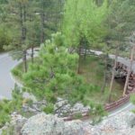 Black Hills Custom Private Day Tour - In-Depth Itinerary Breakdown