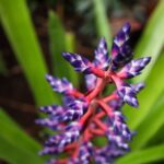 Bloedel Conservatory Admission Ticket - Why People Love It