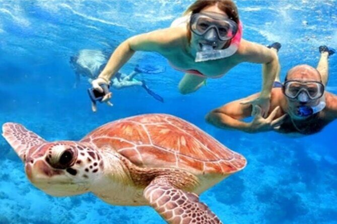 Blue Lagoon Snorkling activities - Real Traveler Insights