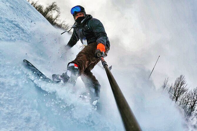 Blue Mountain and Scenic caves of Collingwood - Why This Tour Stands Out