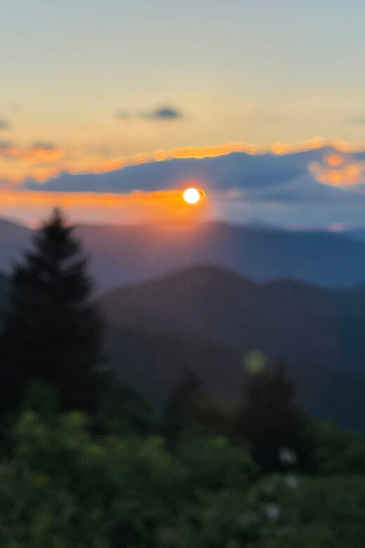 Blue Ridge hiking tour with areas #1 Guide (1/2 day) - Why This Tour Offers Value