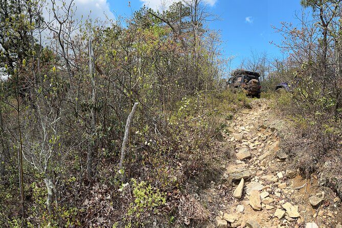 Boar's Head Resort Off Road Jeep Tour - What We Love About This Experience