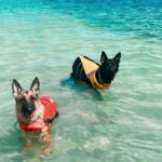 Boat Rentals to Shell Key, Treasure Island and St. Pete Beach - Who Is This Tour Best For?