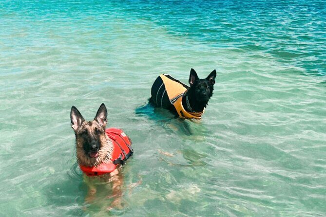 Boat Rentals to Shell Key, Treasure Island and St. Pete Beach - Who Is This Tour Best For?