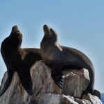 Boat ride to the Arch and Snorkel - What Travelers Say: Real Experiences and Insights