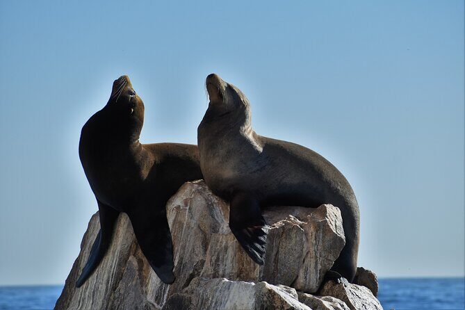 Boat ride to the Arch and Snorkel - What Travelers Say: Real Experiences and Insights