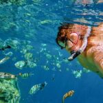 Boat Tour and Snorkel at Pelican Rock - Highlights of What Makes This Tour Stand Out