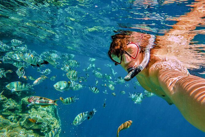 Boat Tour and Snorkel at Pelican Rock - Highlights of What Makes This Tour Stand Out